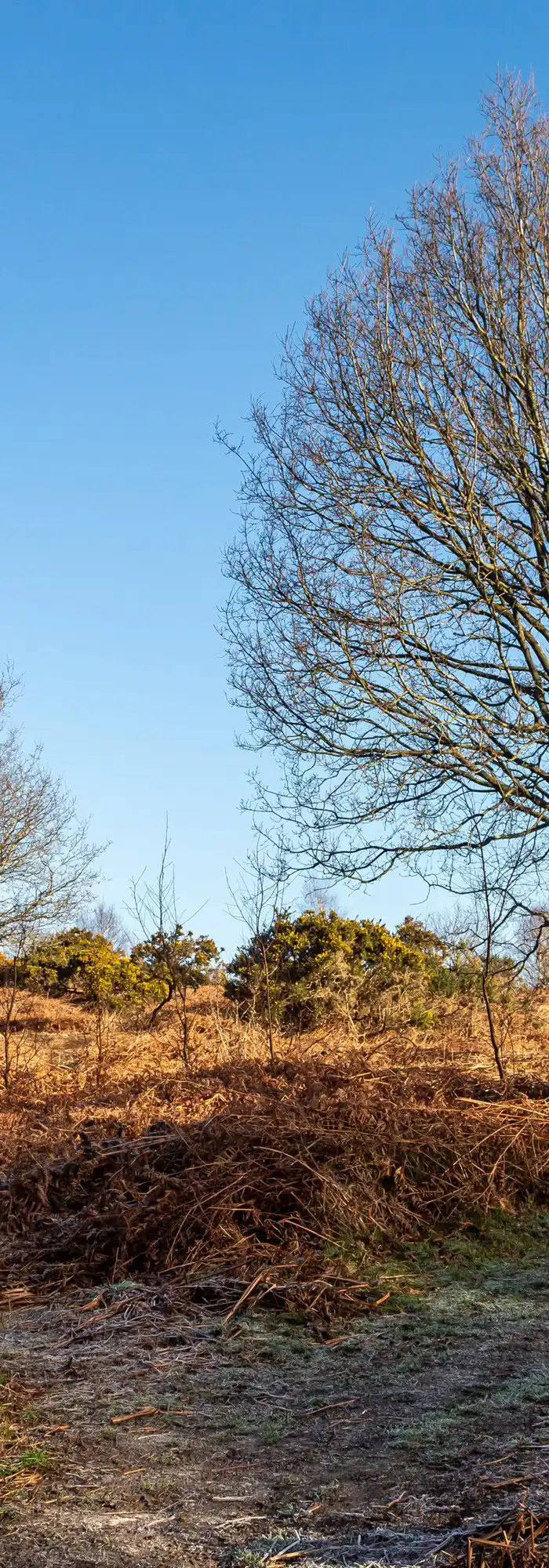 40+ Newick campsites - Best camping in Newick, Sussex