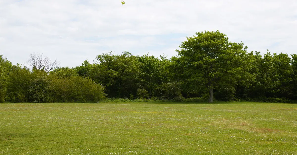 8 Isle of Grain campsites - Best camping in Isle of Grain, Kent