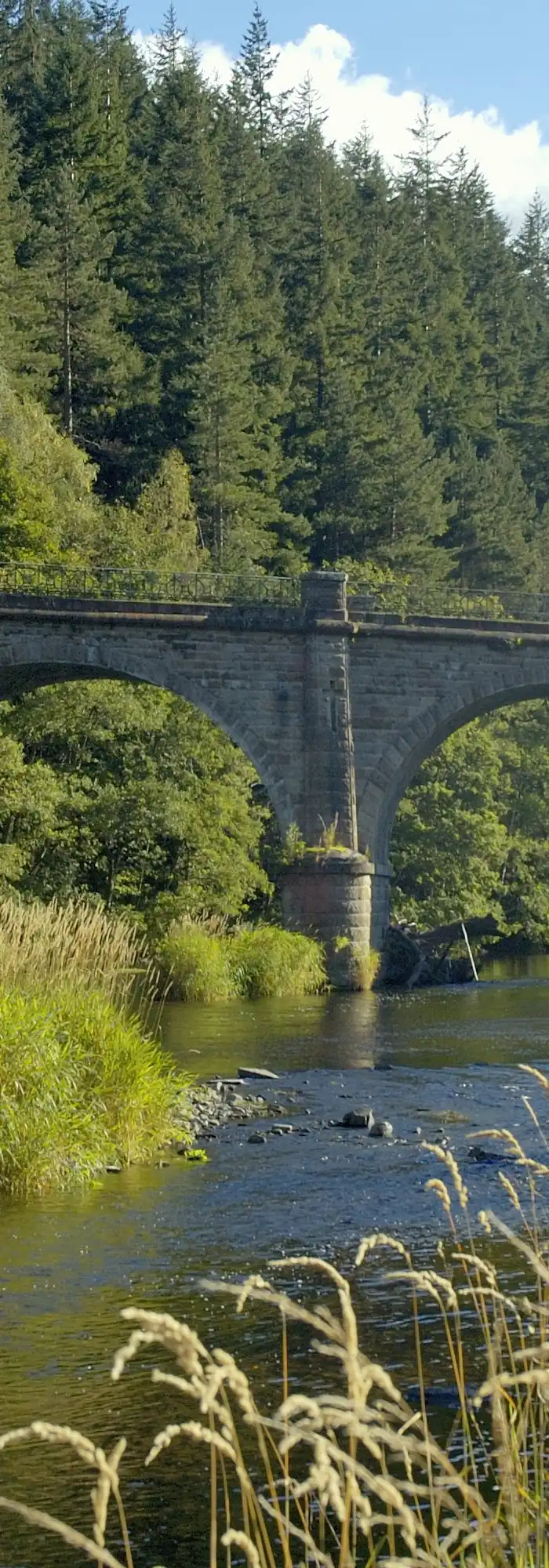 8 Peebles campsites - Best camping in Peebles, Scottish Borders