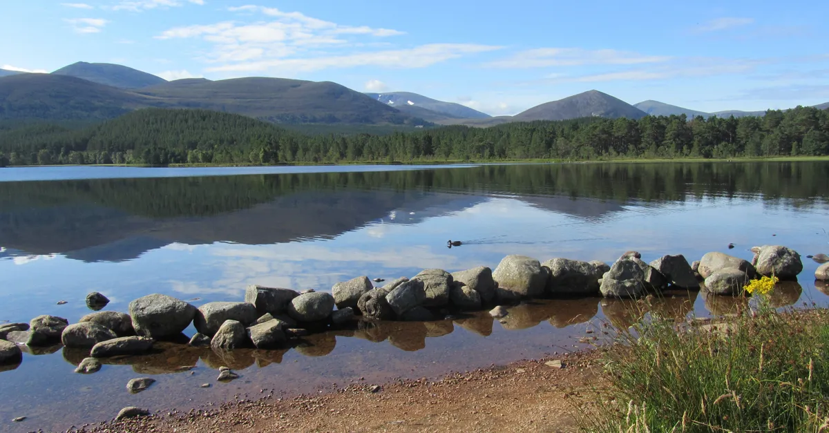 8 Aviemore campsites - top camping sites!