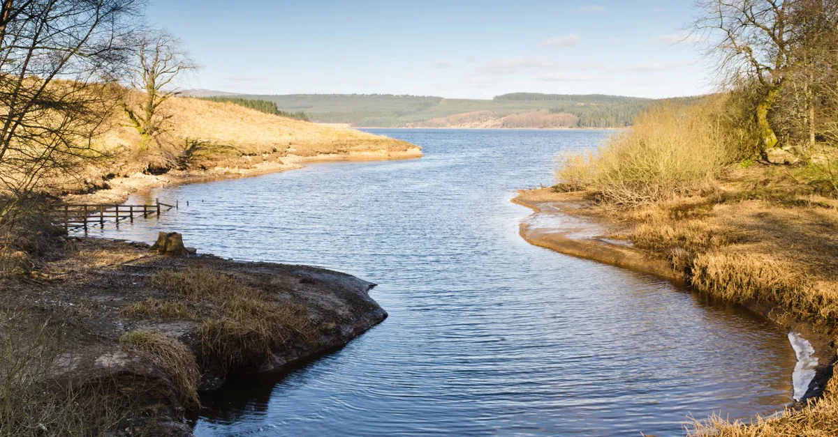 15+ Kielder campsites - Best camping in Kielder, Northumberland