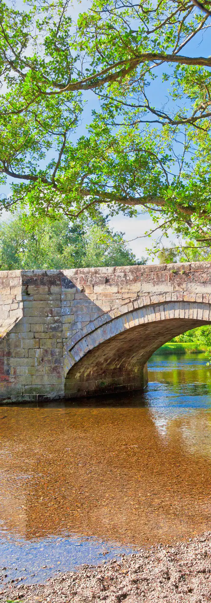 45+ campsites in Pooley Bridge