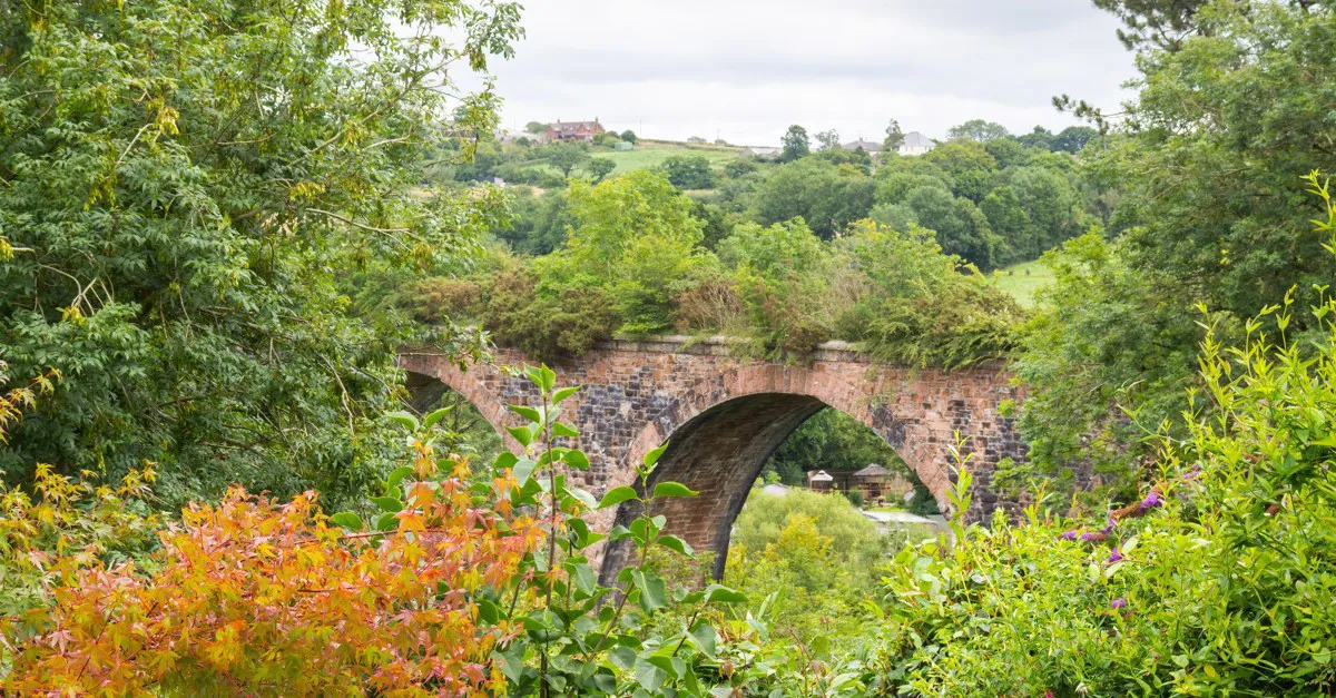 50+ Holsworthy campsites - Best camping in Holsworthy, Devon