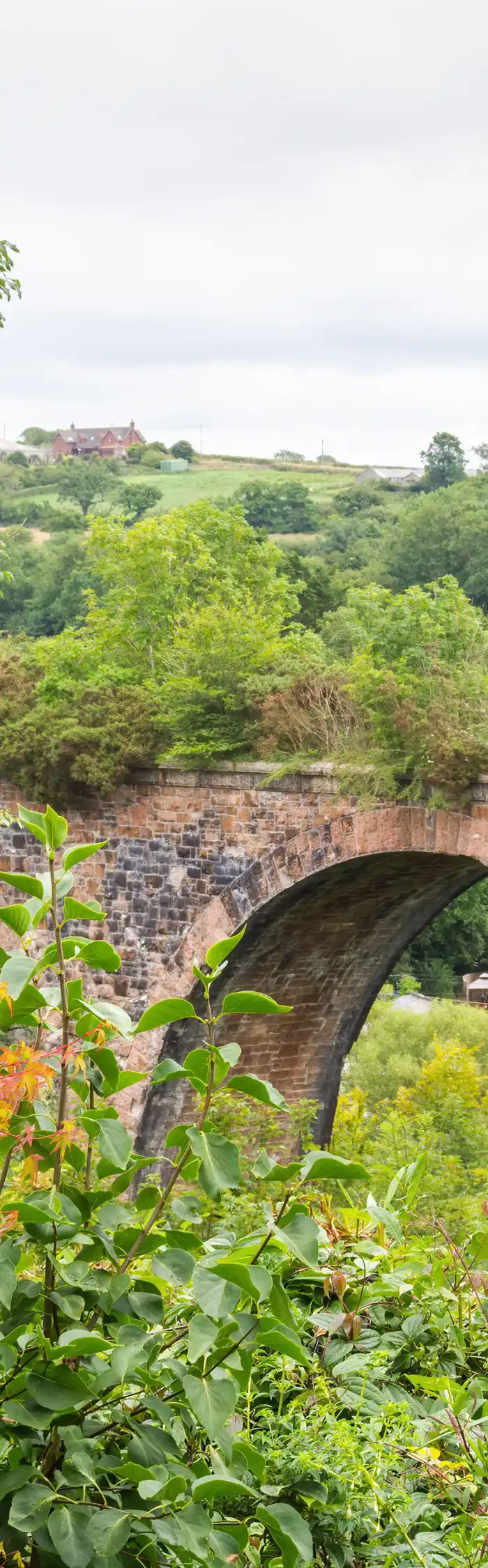 50+ Holsworthy campsites - Best camping in Holsworthy, Devon