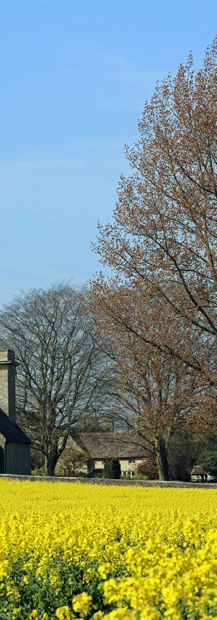 20+ Campsites in Driffield