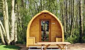 The best campsites in the New Forest - 10+ top sites