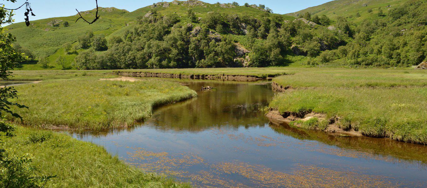 Crianlarich campsites | Best camping in Crianlarich, Perthshire