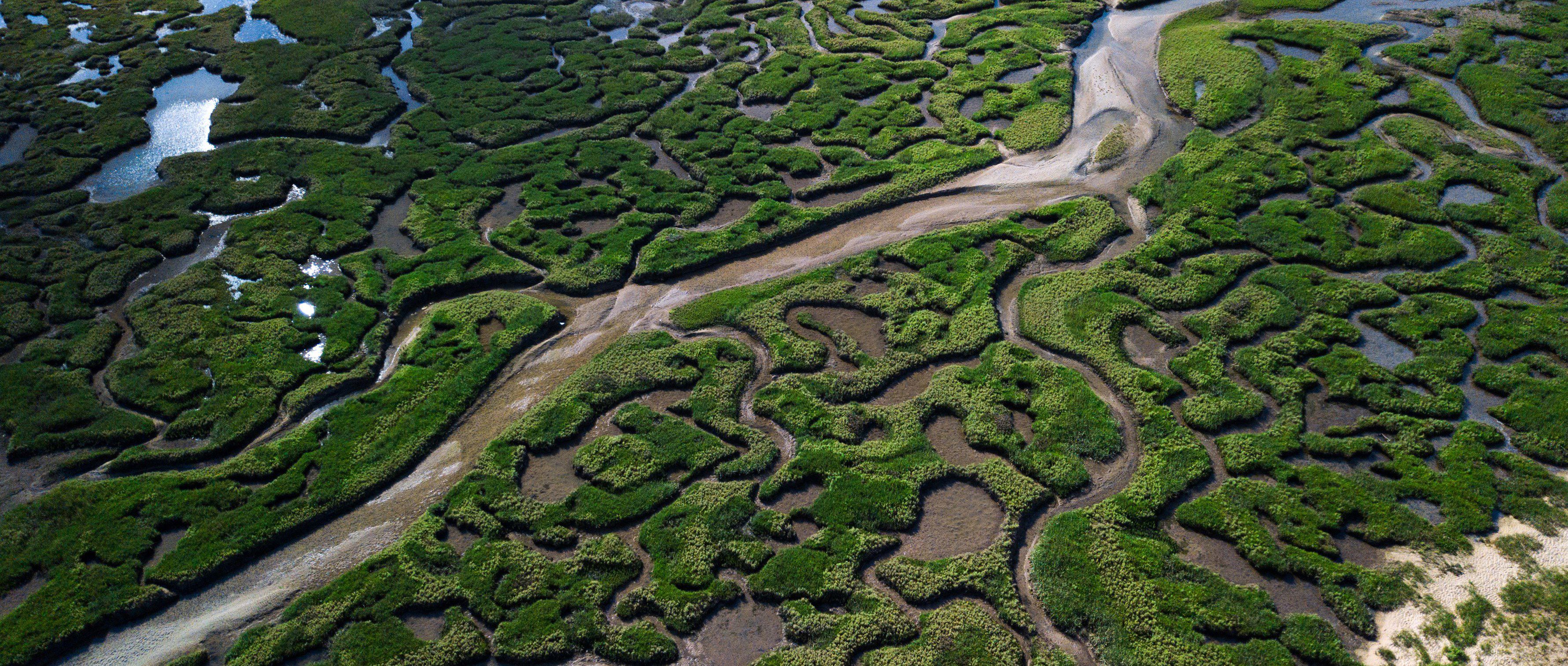 20+ Stiffkey campsites | Best camping in Stiffkey, Norfolk