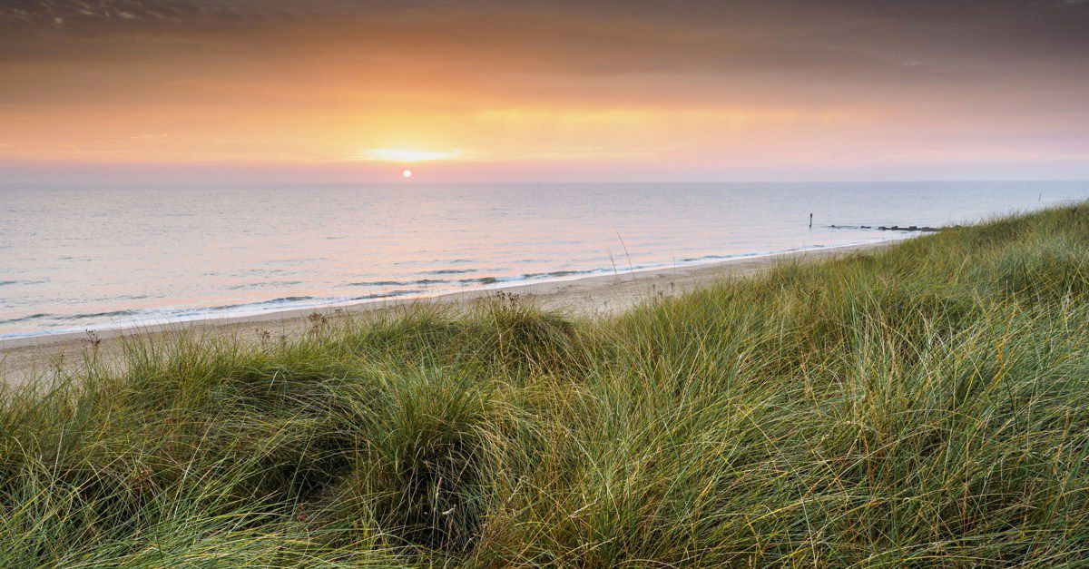 20+ Waxham campsites | Best camping in Waxham, Norfolk