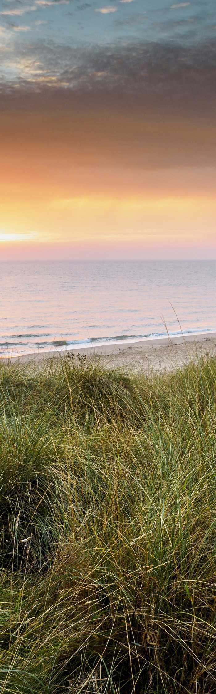 20+ Waxham campsites | Best camping in Waxham, Norfolk