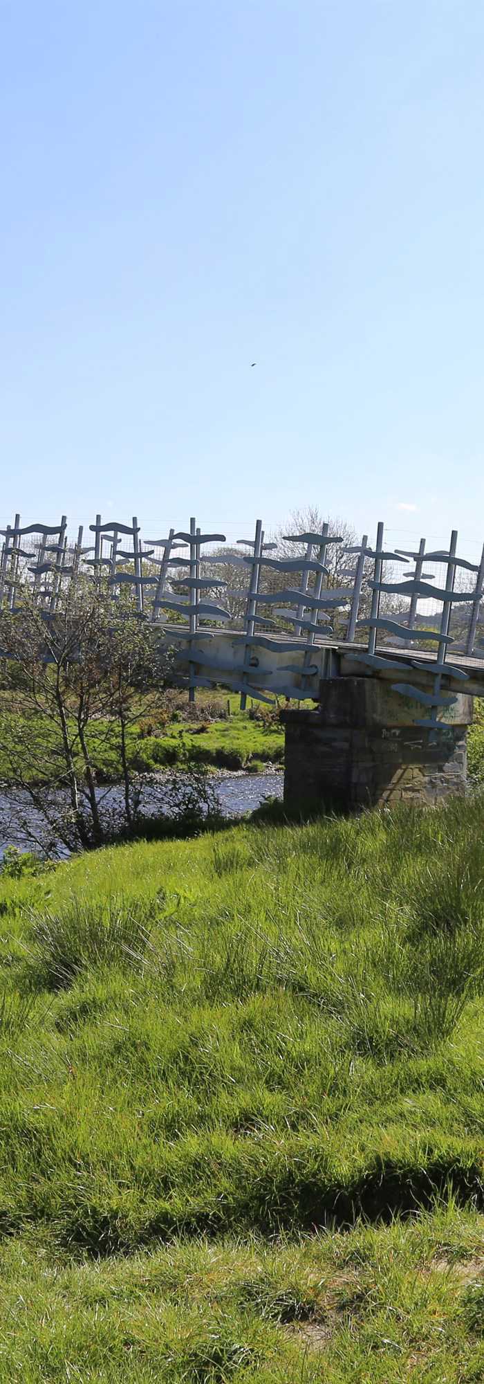 20+ Machynlleth campsites | Best camping in Machynlleth, Powys