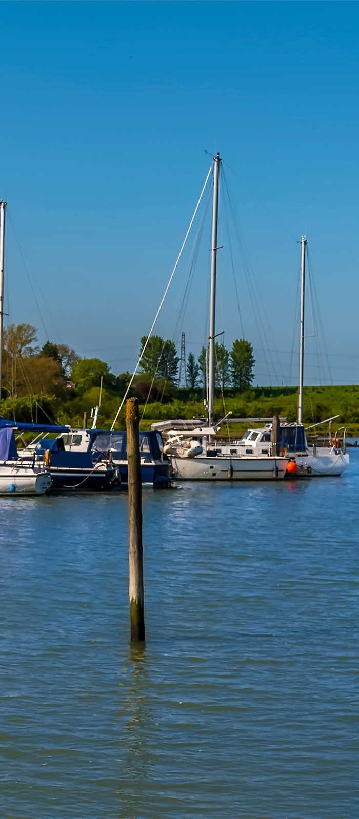 20+ Faversham campsites | Best camping in Faversham, Kent