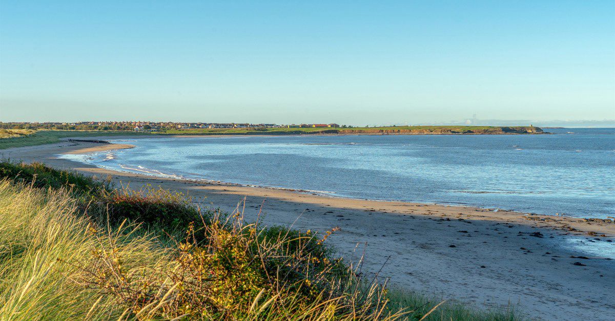 15+ Beadnell campsites | Best camping in Beadnell, Northumberland
