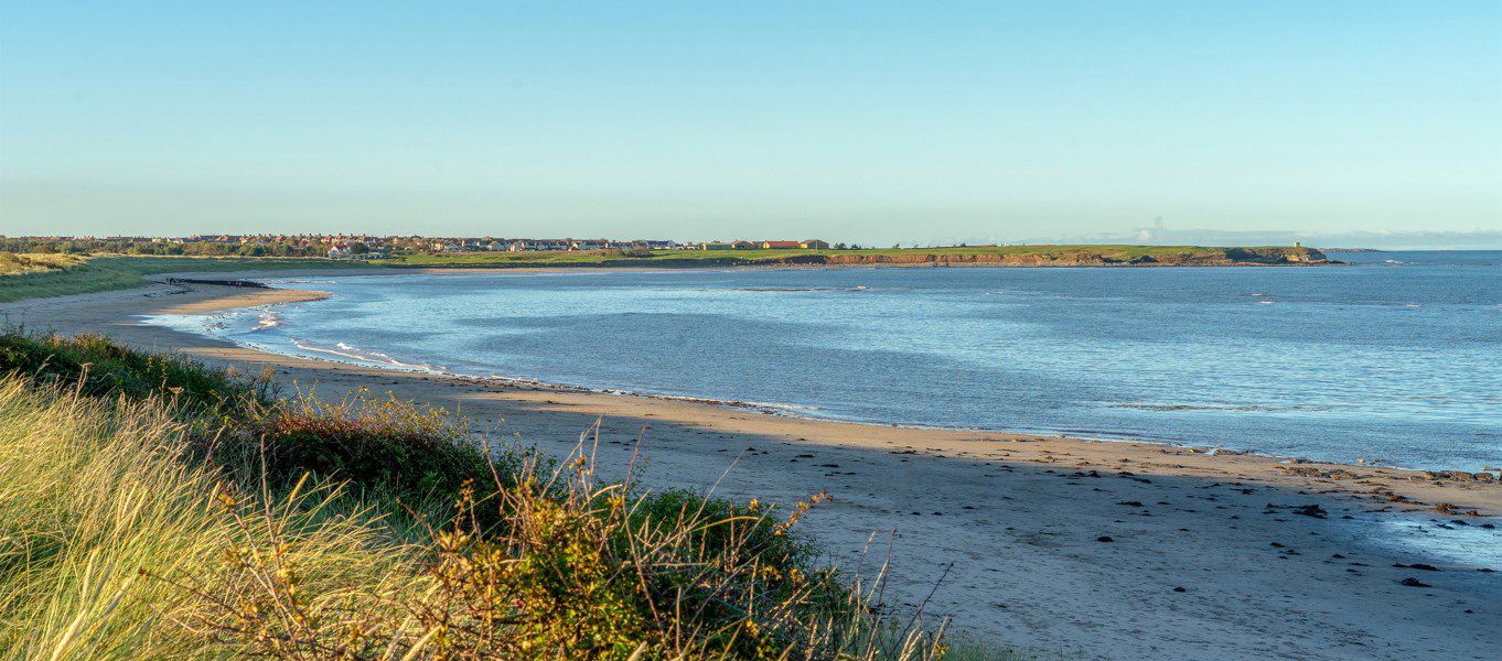 10+ Beadnell campsites | Best camping in Beadnell, Northumberland