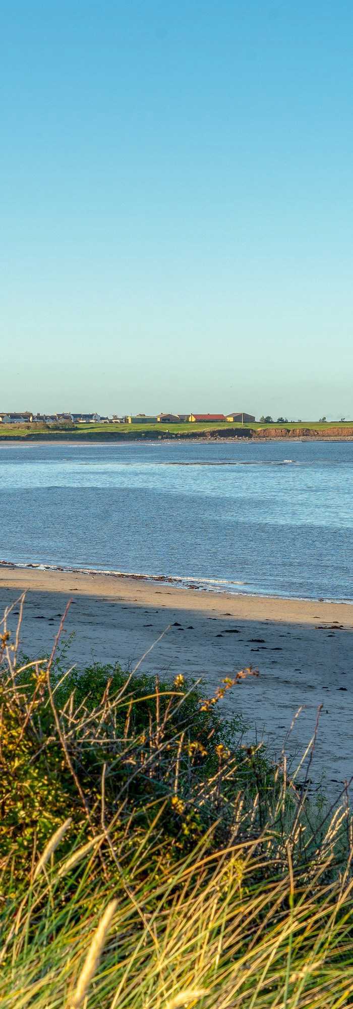 15+ Beadnell campsites | Best camping in Beadnell, Northumberland