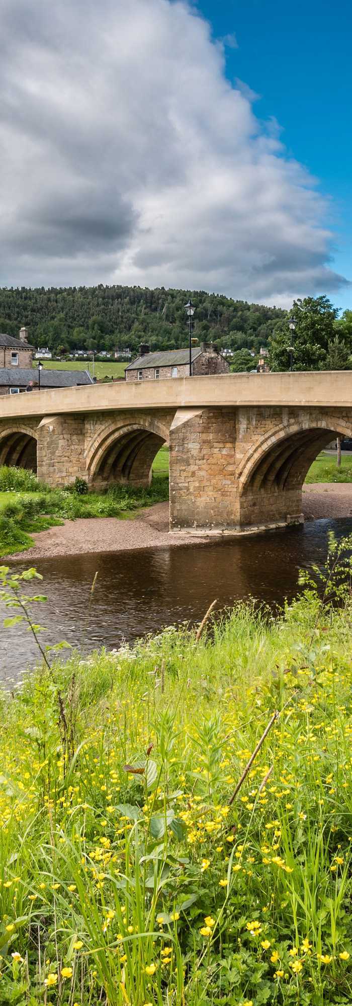 4 Rothbury campsites | Best camping in Rothbury, Northumberland