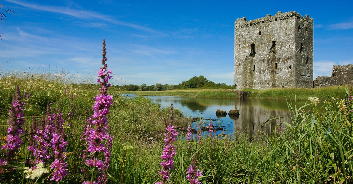 10+ Castle Douglas campsites | Best camping in Castle Douglas, Dumfries ...