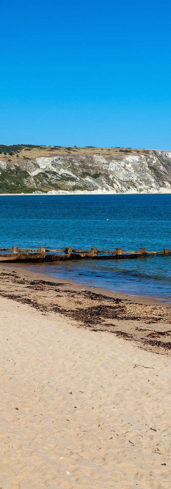 40+ Swanage campsites - the best camping sites near Swanage