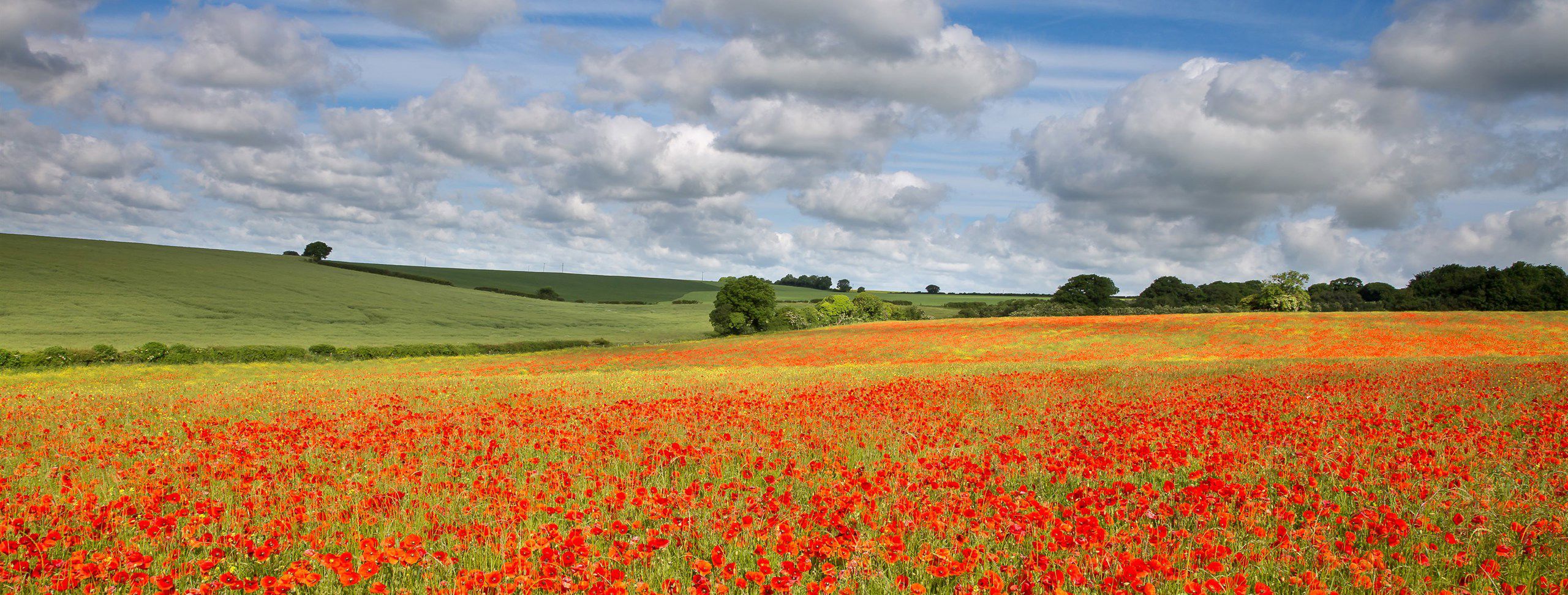 30+ Blandford Forum campsites | Best camping in Blandford Forum, Dorset