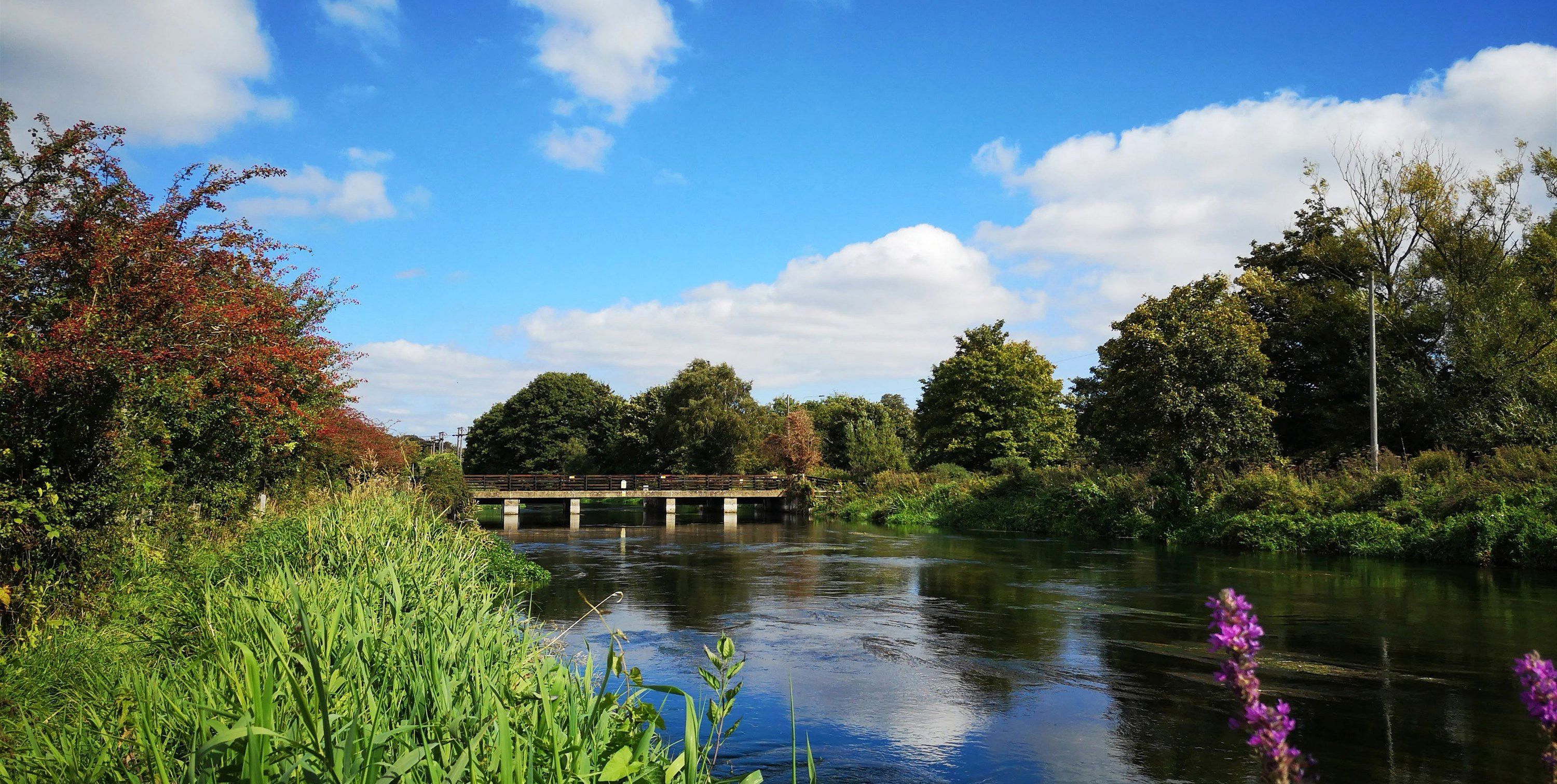 35+ Ringwood campsites | Best camping in Ringwood, Hampshire