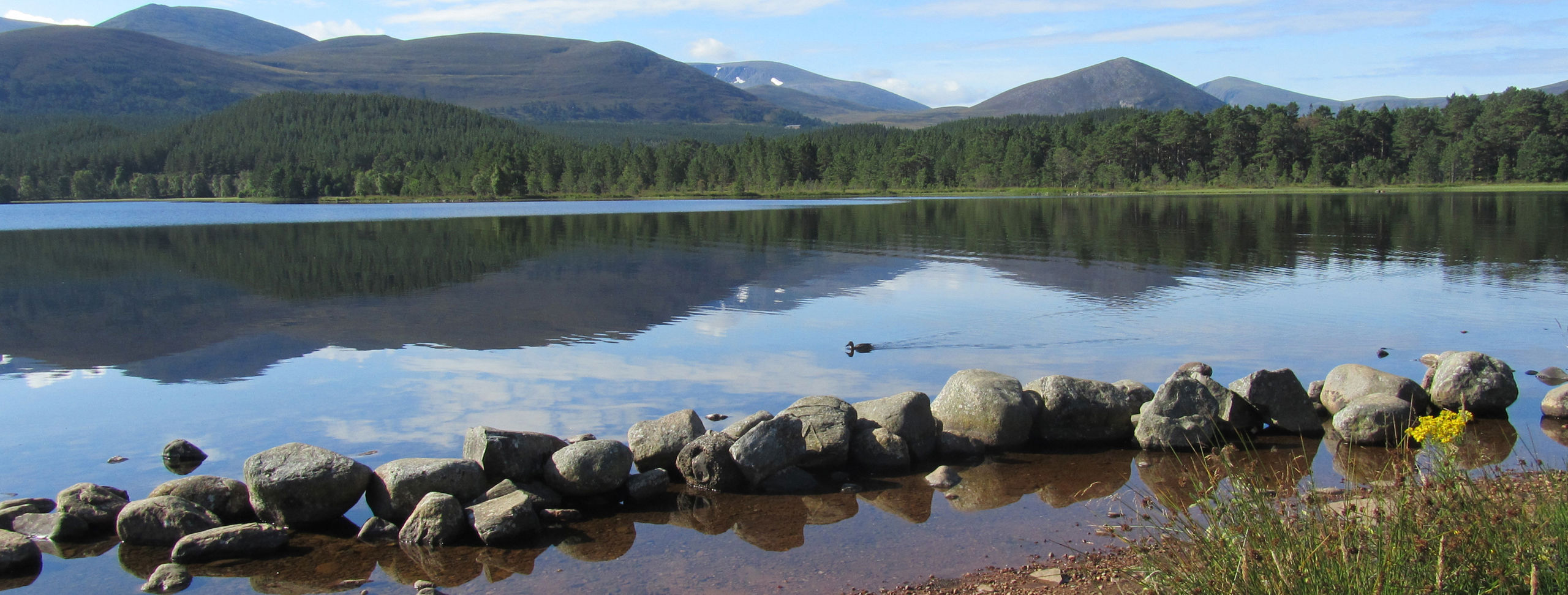 3 Aviemore campsites | Best camping in Aviemore, Highlands