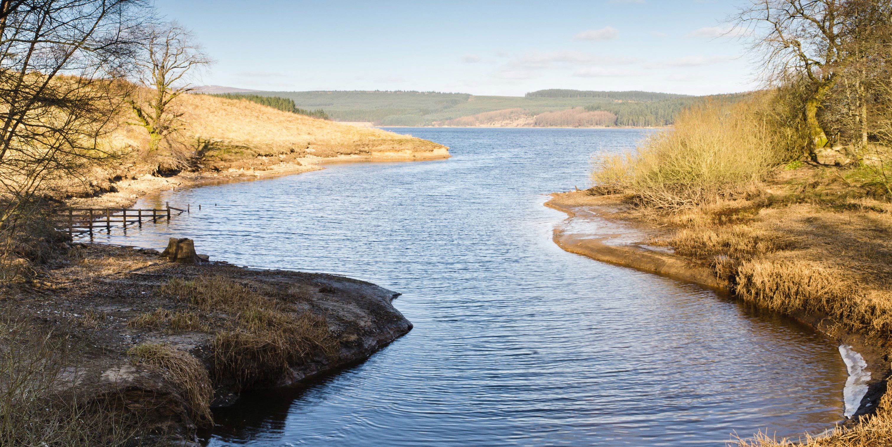 15+ Kielder campsites | Best camping in Kielder, Northumberland