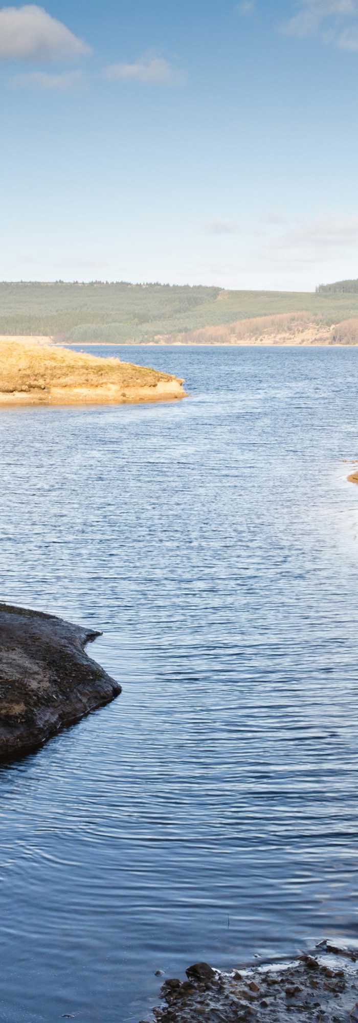 15+ Kielder campsites | Best camping in Kielder, Northumberland