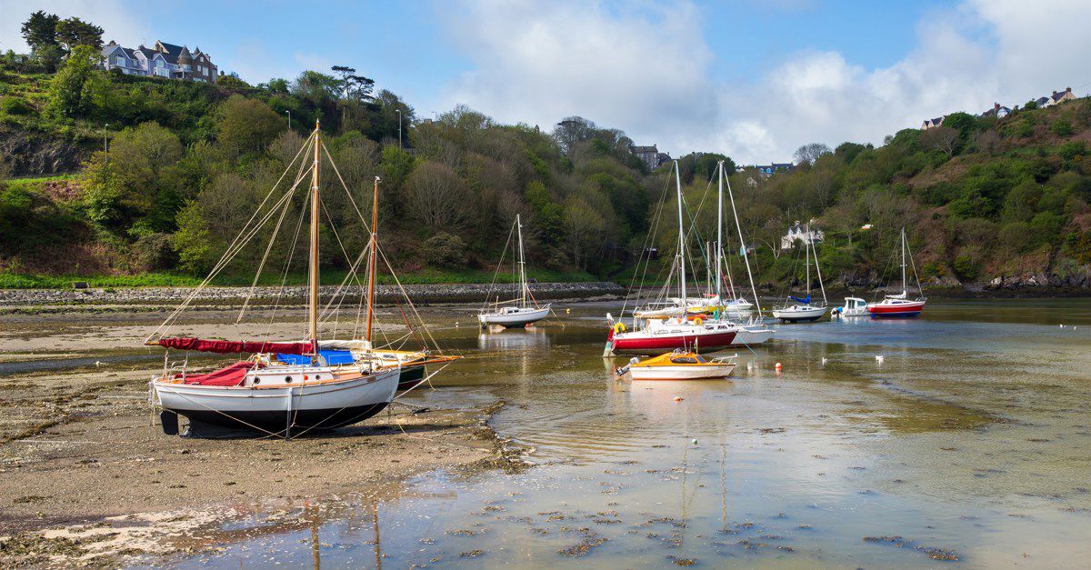 35+ Fishguard campsites | Best camping in Fishguard, Pembrokeshire