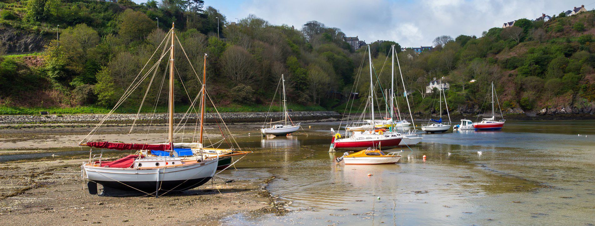 35+ Fishguard campsites | Best camping in Fishguard, Pembrokeshire
