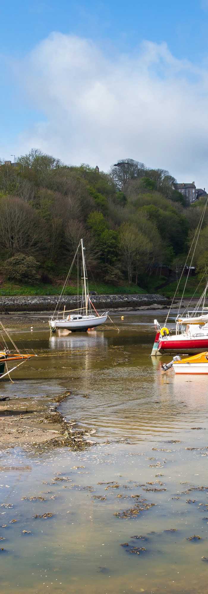 35+ Fishguard campsites | Best camping in Fishguard, Pembrokeshire