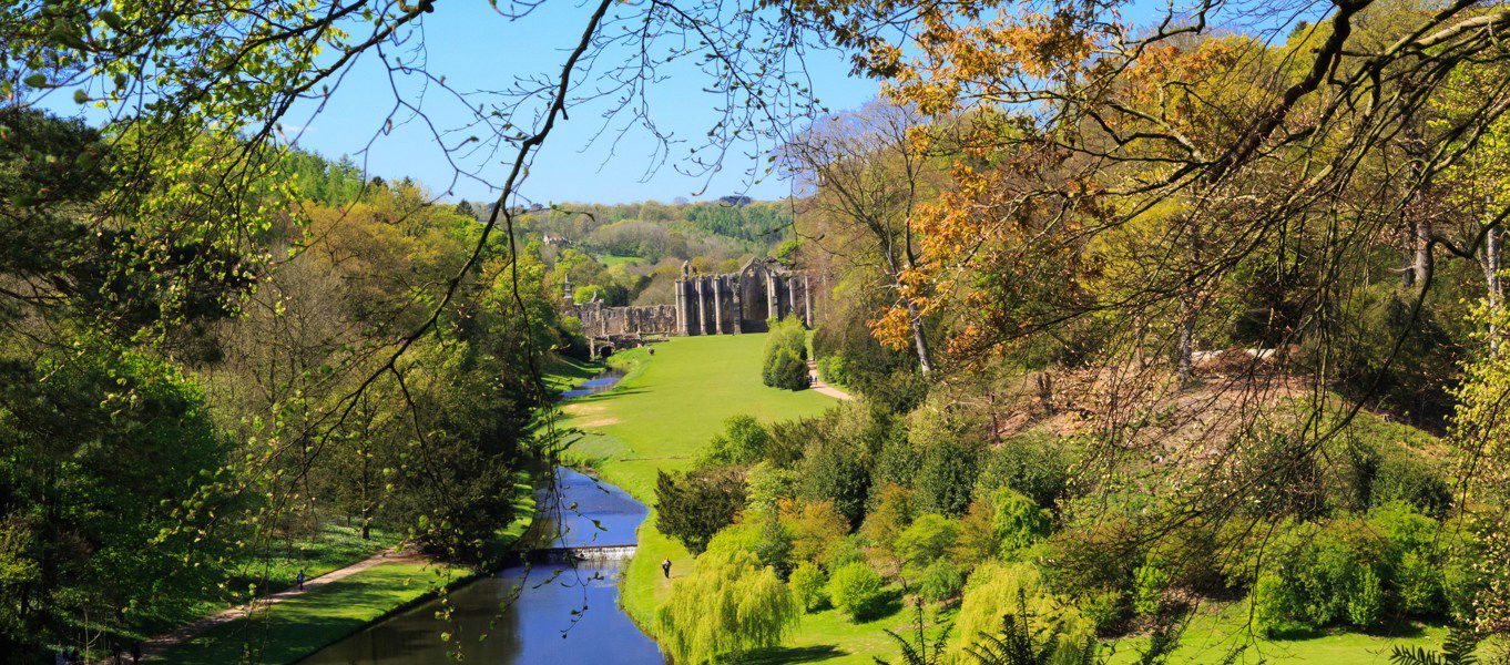 Ripon campsites | Best sites for camping in Ripon, Yorkshire