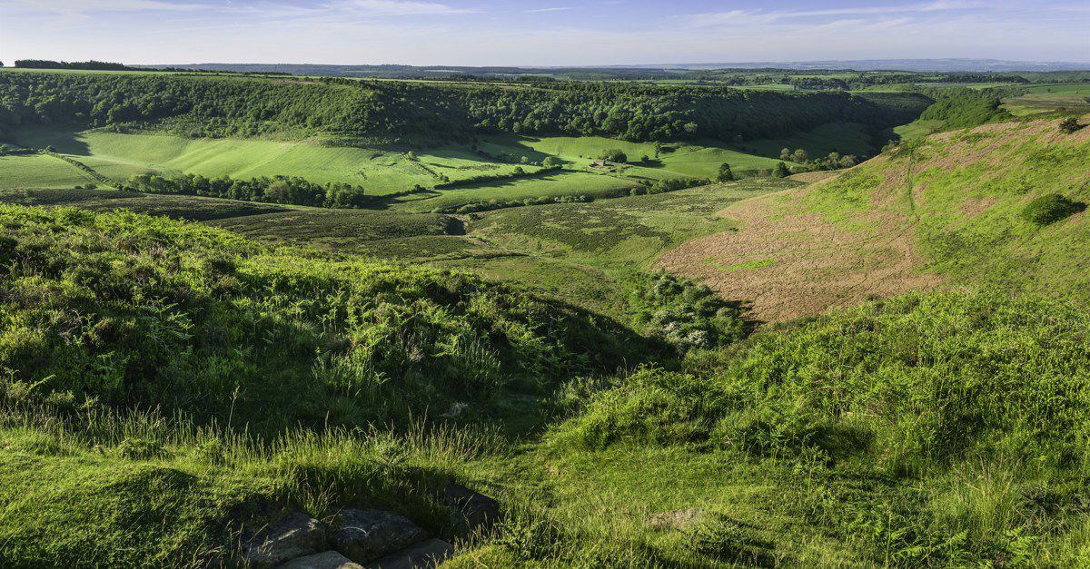 30+ Goathland campsites | Best camping in Goathland, Yorkshire