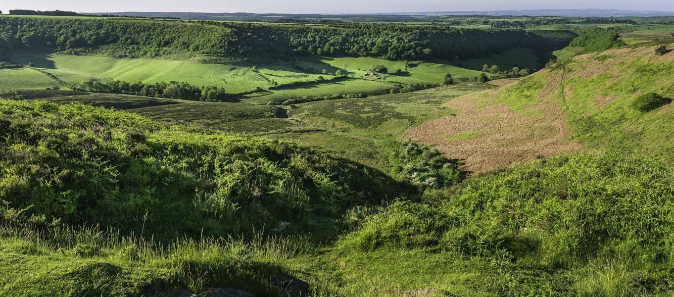 20+ Goathland campsites | Best camping in Goathland, Yorkshire