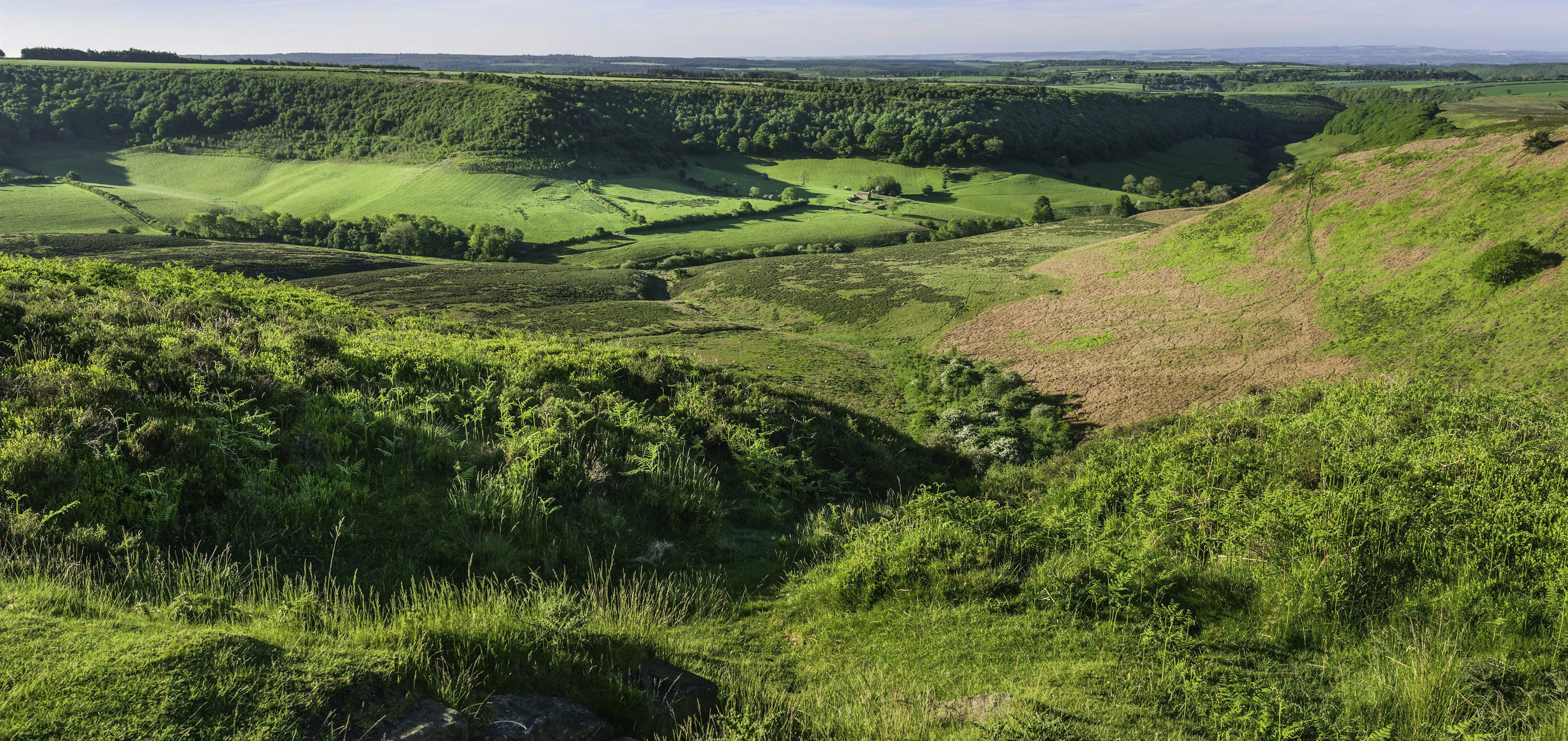 35+ Goathland campsites | Best camping in Goathland, Yorkshire