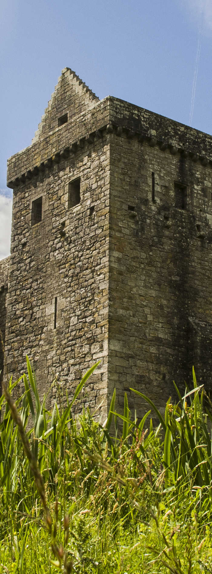 6 Hawick campsites | Best camping in Hawick, Scottish Borders