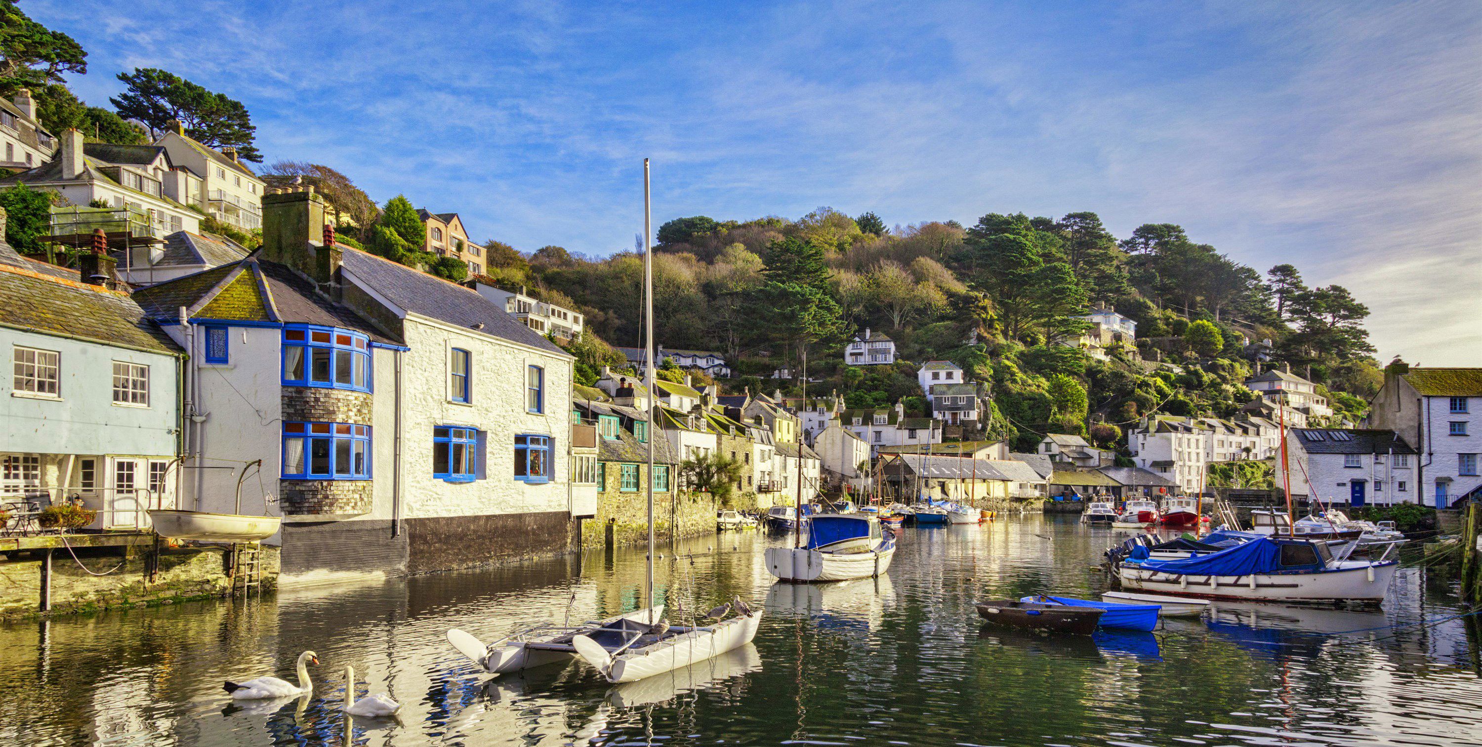 35+ Polperro campsites | Best camping in Polperro, Cornwall