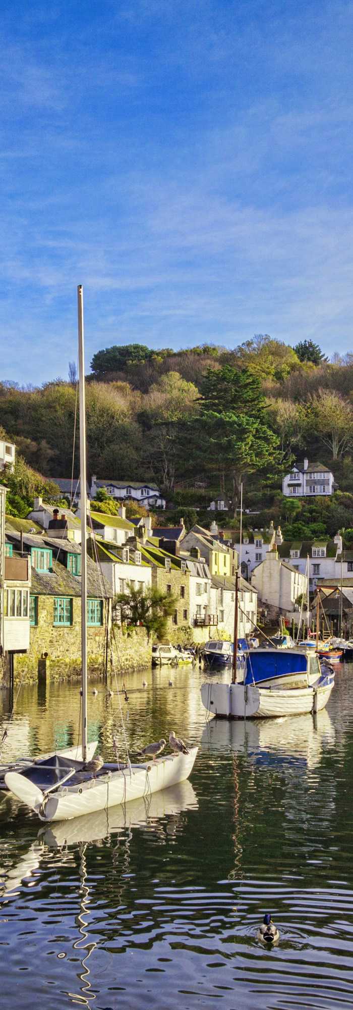 35+ Polperro campsites | Best camping in Polperro, Cornwall