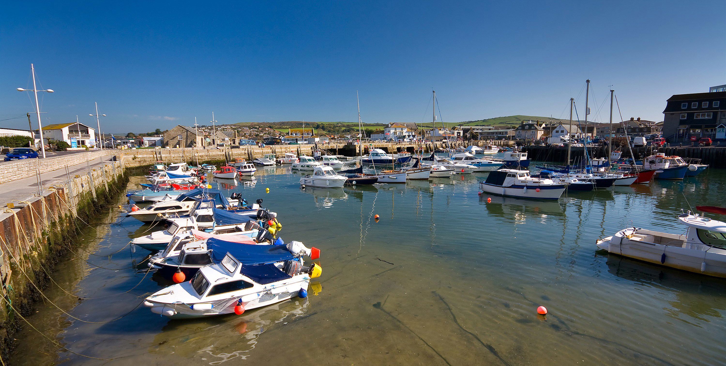 40+ West Bay campsites | Best camping in West Bay, Dorset