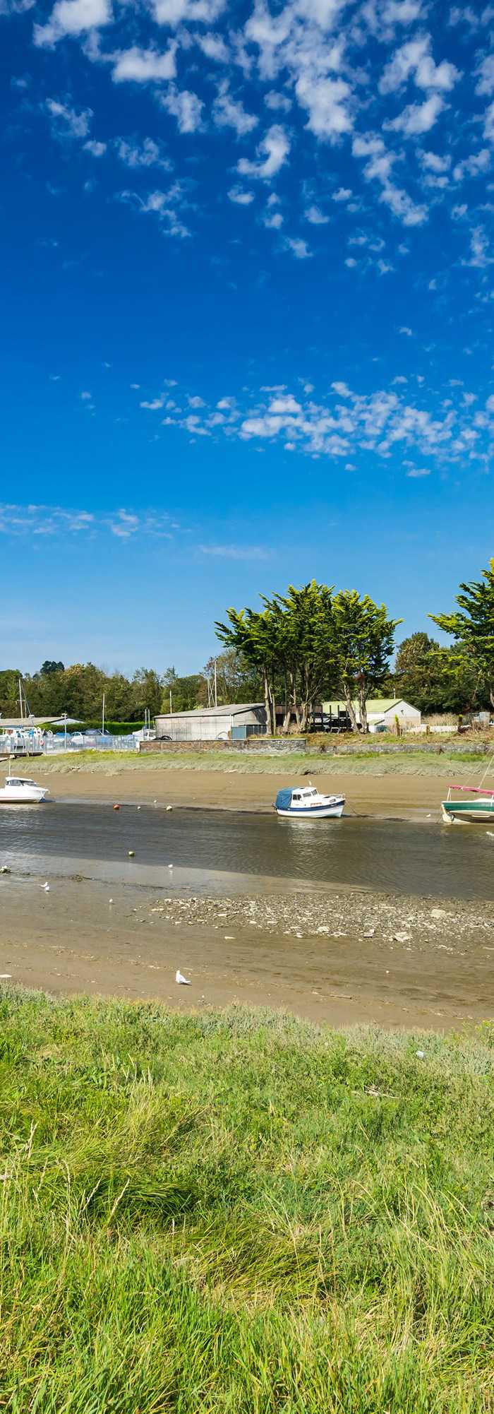 60+ Wadebridge campsites | Best camping in Wadebridge, Cornwall