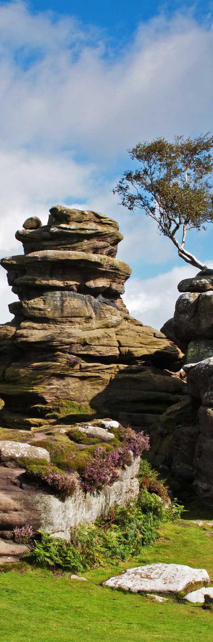 20+ Pateley Bridge campsites | Best camping in Pateley Bridge, Yorkshire