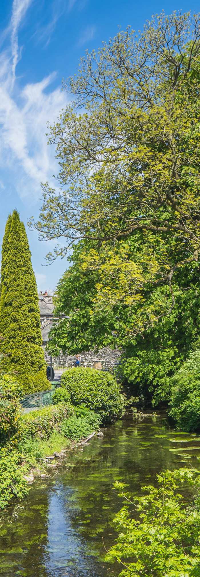 25+ Cartmel campsites | Best camping in Cartmel, Cumbria & Lake District